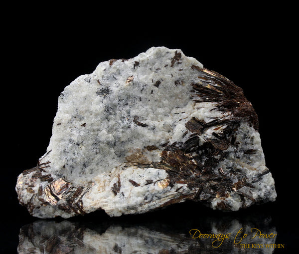 Astrophyllite Crystal Specimen - Doorways to Power