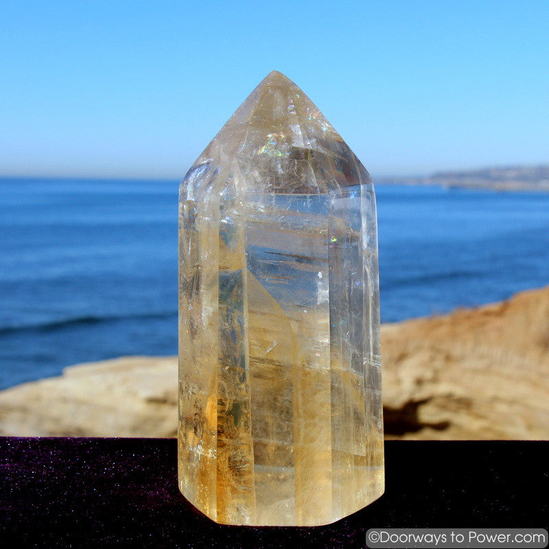 Golden Optical Calcite Crystal Point 5.8" - Doorways to Power