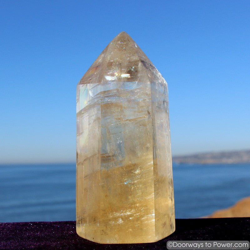 Golden Optical Calcite Crystal Point 5.8" - Doorways to Power