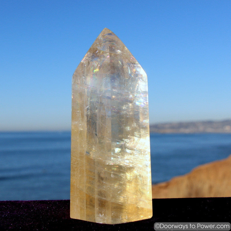 Golden Optical Calcite Crystal Point 5.8" - Doorways to Power