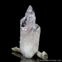 Danburite Synergy 12 Tantric Twin Manifestation Crystal - Doorways to Power