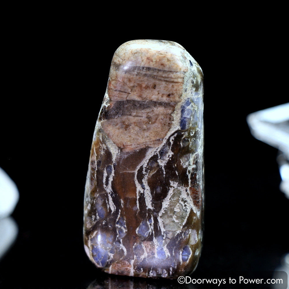 Que Sera Stone Llanite Vulcanite Tumbled Crystal - Doorways to Power