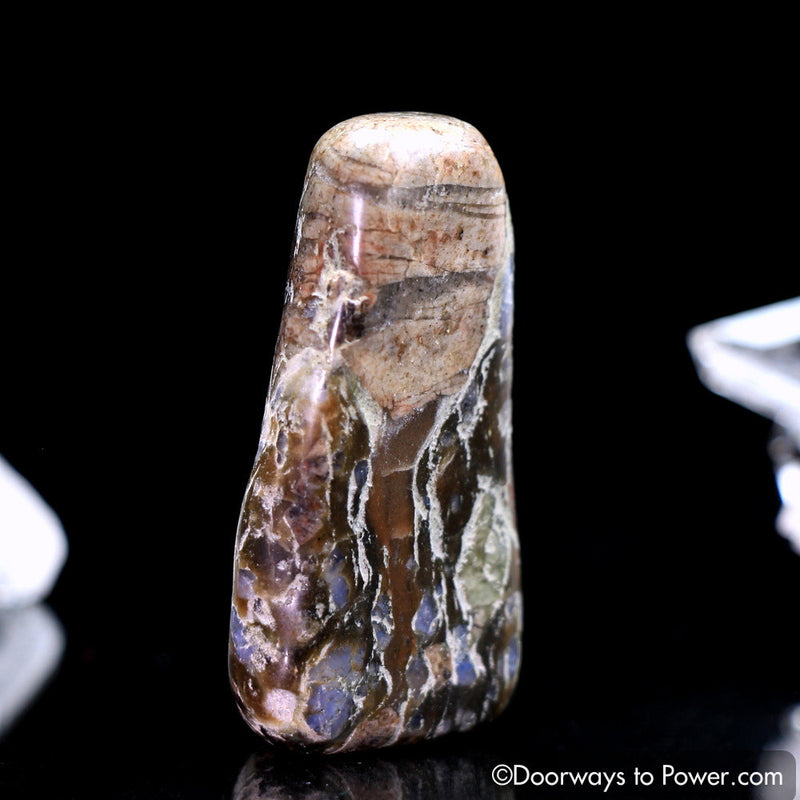 Que Sera Stone Llanite Vulcanite Tumbled Crystal - Doorways to Power